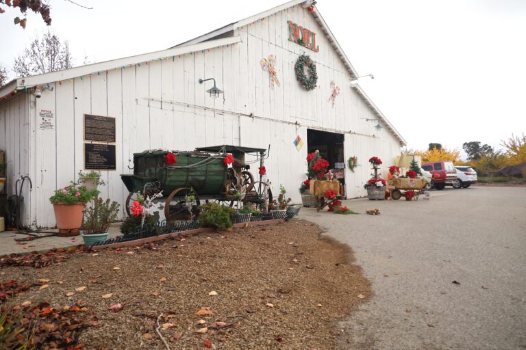 Pole Building and Pole Barn Construction Experts | Delmarva Buildings